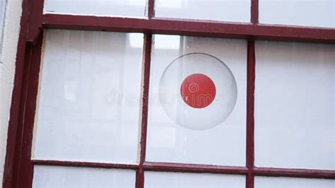 Simple Circle Loading Loop Animation On The White Background 4k