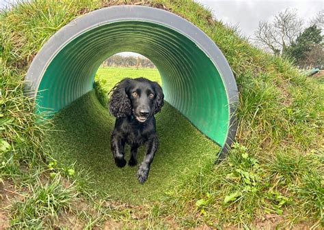Retreats Millin Brook
