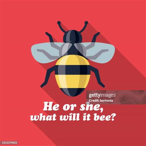 Bee First Photos And Premium High Res Pictures Getty Images