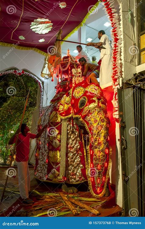 A Ceremonial Elephant At The Kataragama Temple In Kandy Editorial