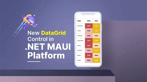 Introducing The New Net Maui Datagrid Control By Lavender Anyango