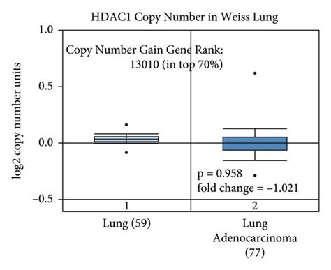 Dna Copy Number And Mrna Levels Of Hdac1 In Luad The Dna Copy Number Download Scientific