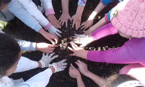 PedagogÍa Freinet Remfa Uruguay 2023