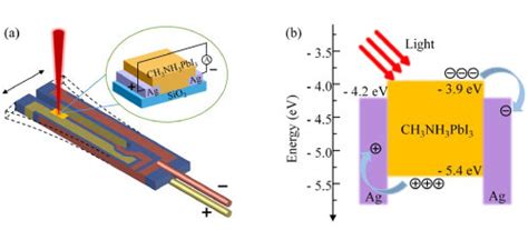 A Structural Diagram Of The Photoelectric Thermoelastic Co Coupling