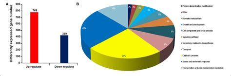 Statistical Histogram Of The Differentially Expressed Genes Degs Download Scientific