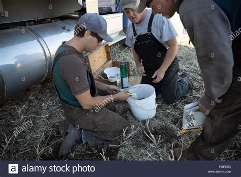 Testing Soil Hi Res Stock Photography And Images Alamy