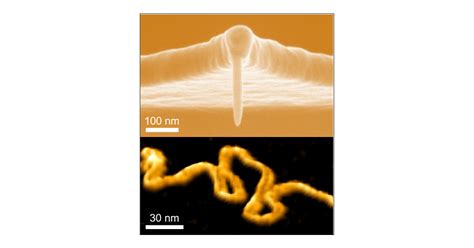 Focused Helium Ion And Electron Beam Induced Deposition Of Organometallic Tips For Dynamic