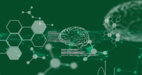 Animation Of Scientific Data Processing And Human Brains Over Connections On Green Background