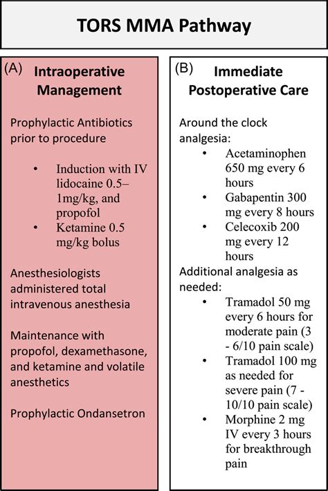 Multimodal Anesthesia Protocol A Intraoperative Management B