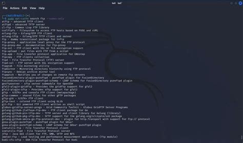How To Search For Programs By Console And Install Them With Apt In Kali