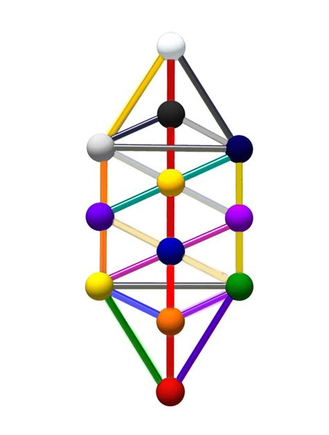 Morphogenetic Field Ascension Glossary