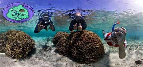 Reef Reef Reef Reef Environmental Education Foundation