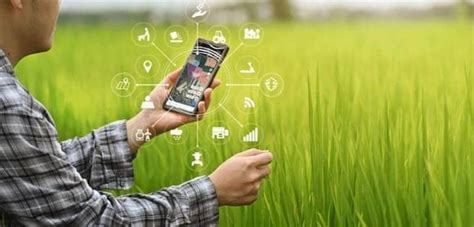 Crop Scouting Farming App Upgraded By Eosda Crop Monitoring