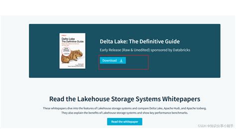 一文读懂delta Lake：大数据时代的数据湖框架新选择！数据湖deltalake使用 Csdn博客