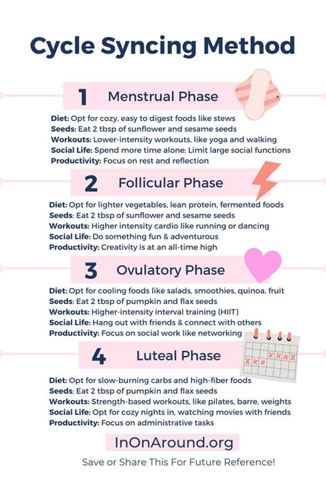 Cycle Syncing Workouts Seed The Beginner S Guide Cycling 101