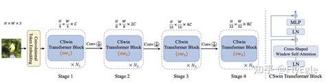 Transformer系列 浅谈cswin Transformer 知乎