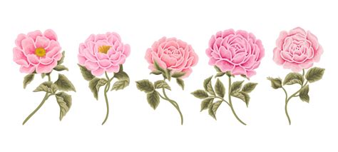 Premium Vector Colorful Vintage Flower Clip Art Illustration Element