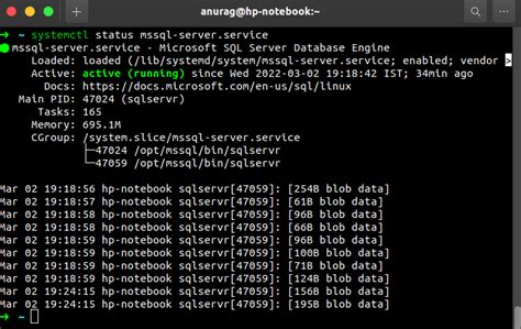 How To Install Sql Server Express In Linux Geeksforgeeks
