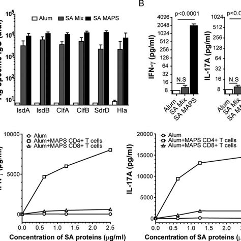 Evaluation Of S Aureus Maps Induced Protection Against S Aureus Download Scientific Diagram