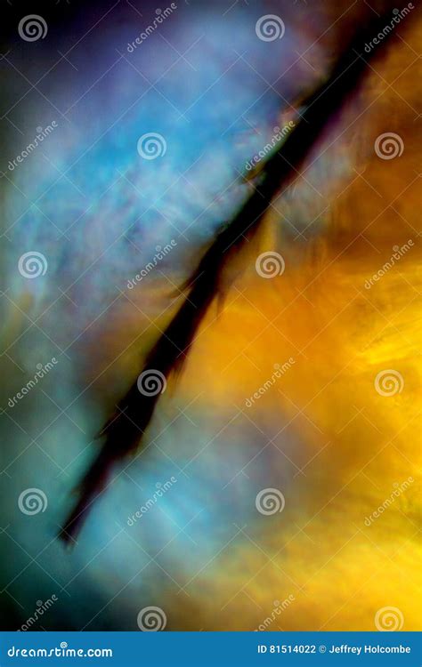 Colorful Micrograph Abstract Of Bumble Bee Parts Taken With A