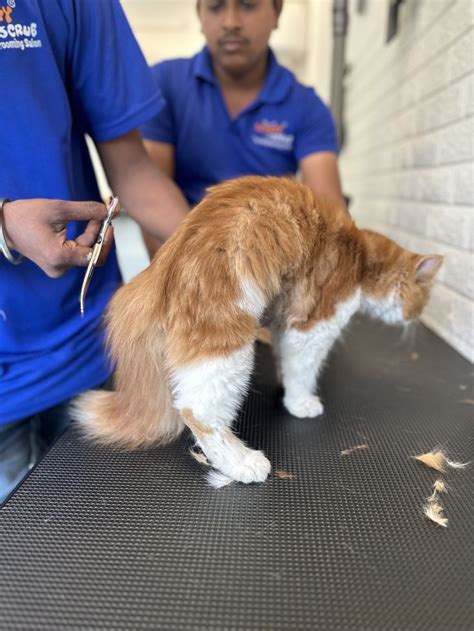 Pin By Shivangi Mathur On Invite Invitations