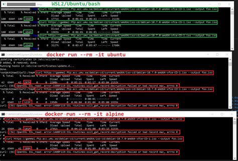 Docker Pull Error With Surface Dock Bad Record Mac · Issue 4658