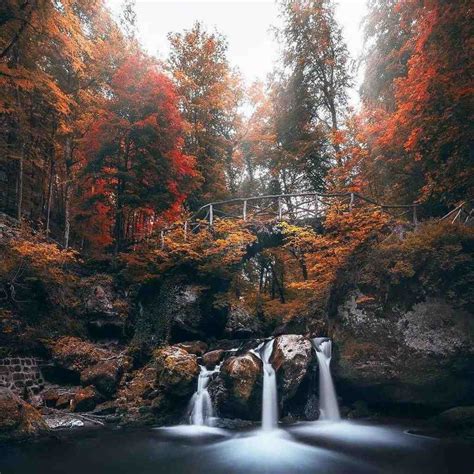 دانلود آهنگ چه ساده دل منو بردی با یه نگاهت با صدای بچه Mp3 320 ترند سانگ