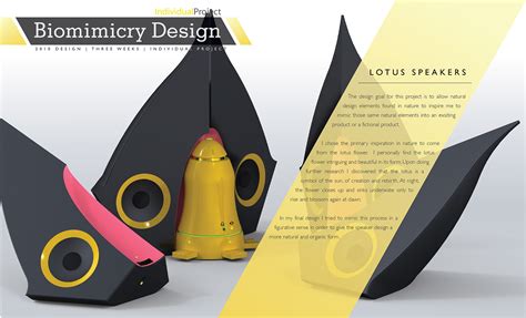 Lotus Behance