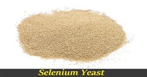Selenium Yeast A Natural Source Of Organic Selenium Hiyeast