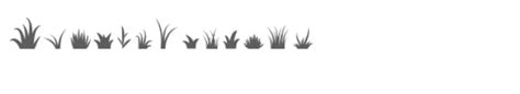 Sg Spring Grass Dingbats Font What Font Is