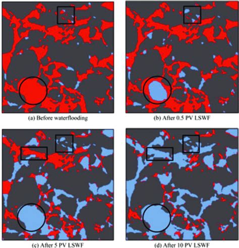Sualization Of Pore Scale Fluid Occupancies Generated At Different