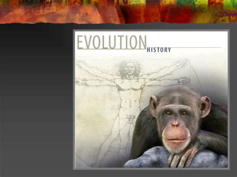 PPT What Is This Evolution Concept PowerPoint Presentation Free Download ID 1018835