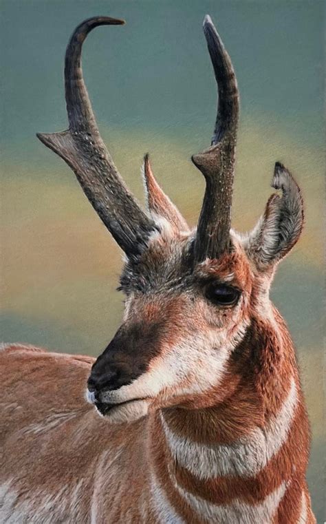 J R Hess Trailside Galleries