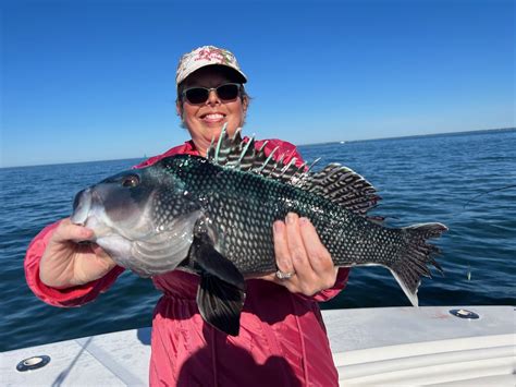 Black Sea Bass Fishing Charters Photo Gallery