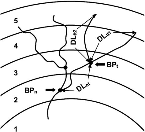 Illustration Of Pruning Terminal And Nonterminal Bps Dendritic Subtree