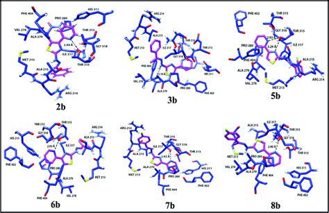 Interaction Diagrams Of Active Pyridine Appended 2 Hydrazinylthiazole Download Scientific