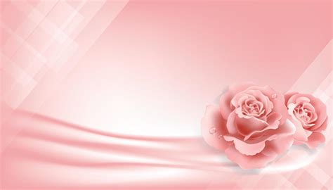 Pink Roses Vector Background Wallpaper 21839714 Vector Art At Vecteezy
