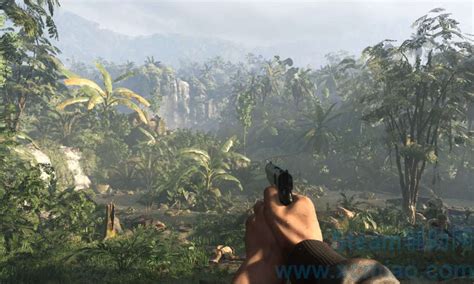 Rust游戏辅助代码全解 Steam辅助网