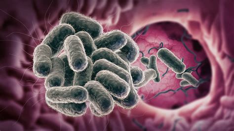 “comprehensive Guide To Clostridioides Difficile Infection Causes Symptoms And Treatment”