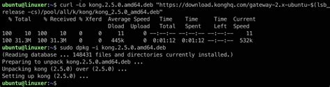 Install Kong Api Gateway On Ubuntu 2004 Linuxways