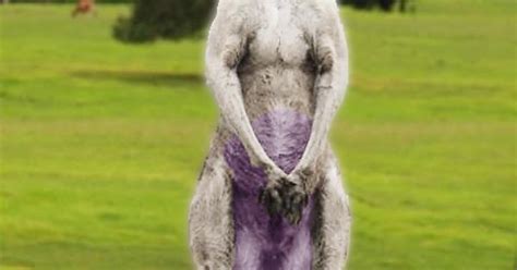 Imgur The Magic Of The Internet