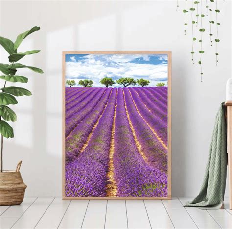 Постеры и картины ”ЛАВАНДОВЫЕ ПОЛЯ ” купить в Санкт Петербурге по цене 290 ₽ 3480 ₽ плакат