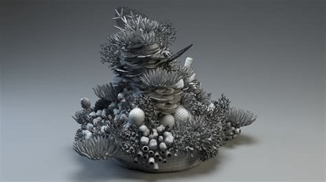 3d Coral Reef 02 Turbosquid 1486310