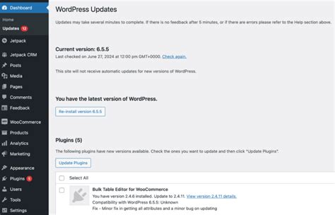 Woocommerce Update Manager Should You Use It