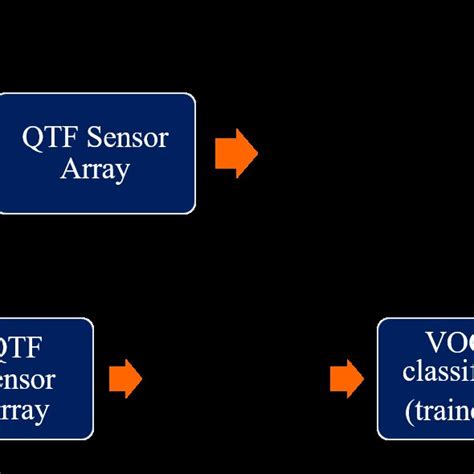 Schematic Showing The Training And Testing Phase Used In The Voc