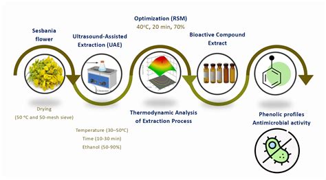 Ultrasound Assisted Extraction Of Bioactive Compounds From Sesbania Javanica Flower Phenolic