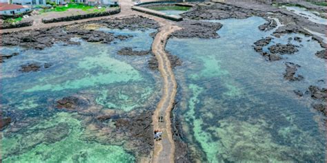 한 발 내딛는 순간 감탄이 나와요하루 두 번 바다 위 초록길을 걷는 트레킹 명소 여행 숙소이야기