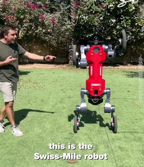 Mahmoud Safwat On Linkedin Robotics Has An Advanced Creepy Technology Nowdays Which Make Me