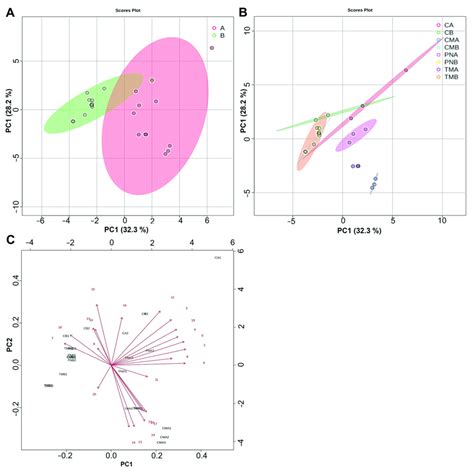 principal component analysis of volatile organic compounds a score