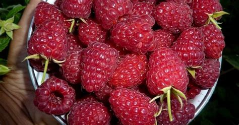 Дом и Сад — Интерьеры, Дизайн, Декор для дома, Дача и Ландшафт